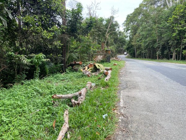 Persoalan Bukit Suharto jadi Sorotan DPRD Kaltim, Sarkowi Tekankan ...