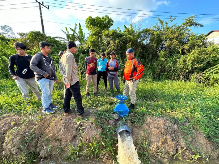 Dedikasi Edi Damansyah Membangun Ketahanan Pangan, Kisah Transformasi ...