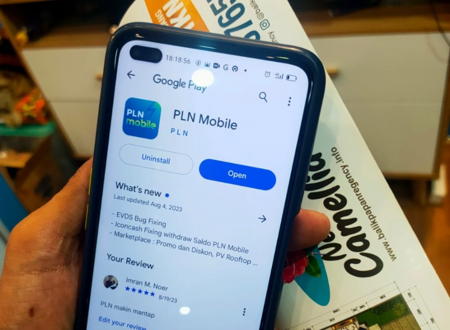Cerita Pelanggan yang Dapat Kemudahan Layanan Lewat PLN Mobile