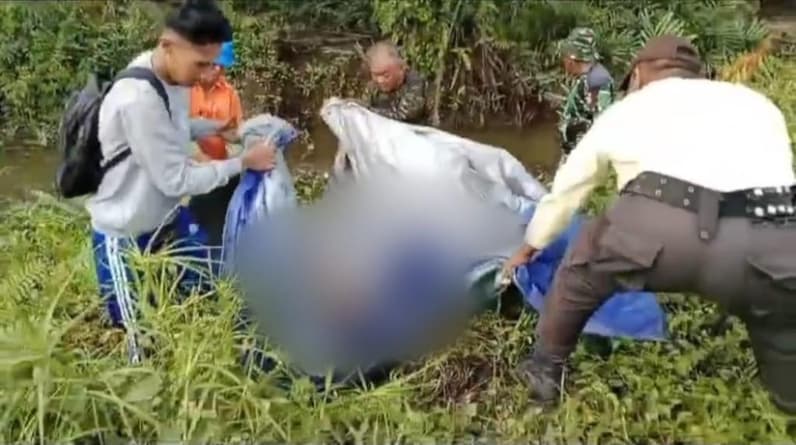 Pria 32 Tahun di Kutim Diterkam Buaya saat Mancing, Ditemukan Setelah ...