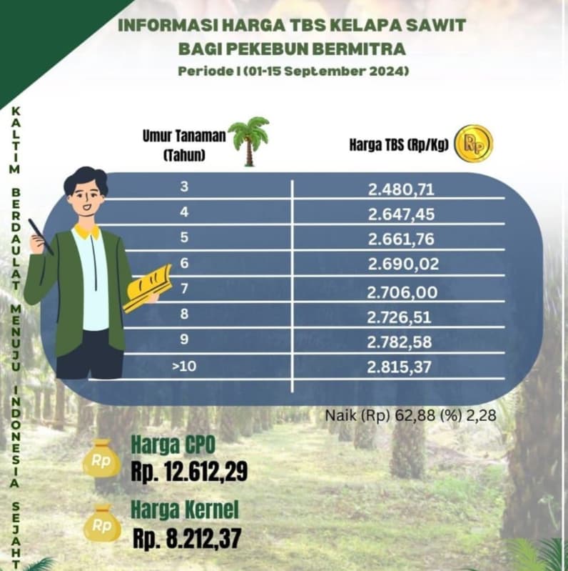 Harga TBS Sawit di Kaltim Naik Jadi Rp2.815,37 per Kg pada Periode September 2024