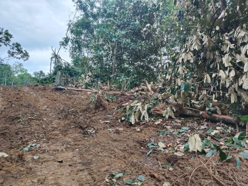 Semakin Merajalela, Lahan Warga di Samboja Barat Rata dengan Tanah oleh ...